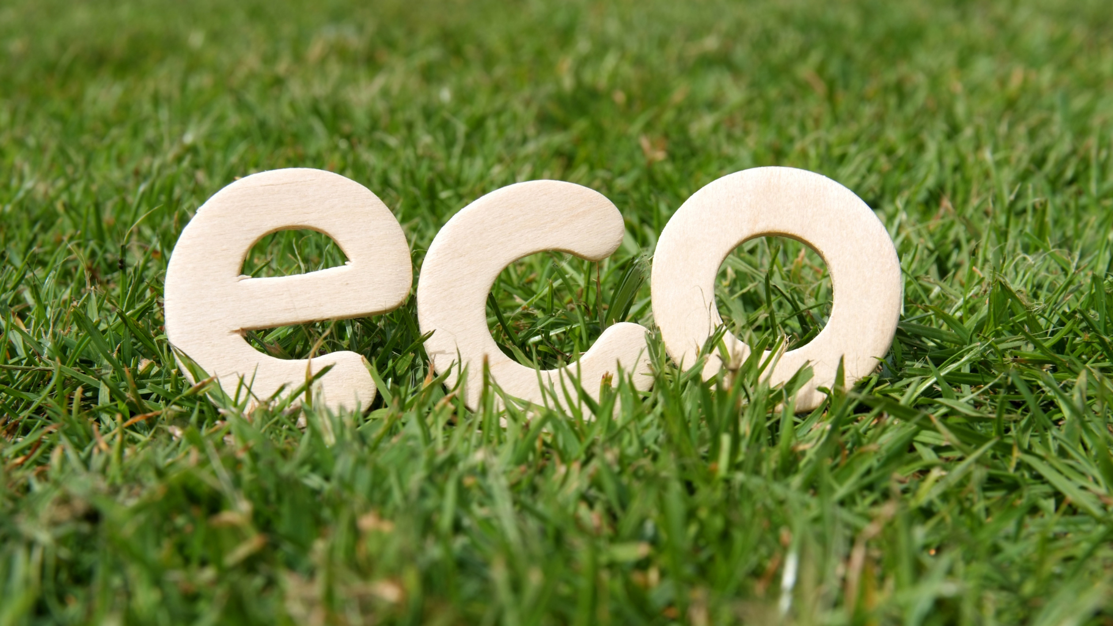 An Introduction to Omnimed's Eco Supply Chain Assistant, Ben Lonsdale